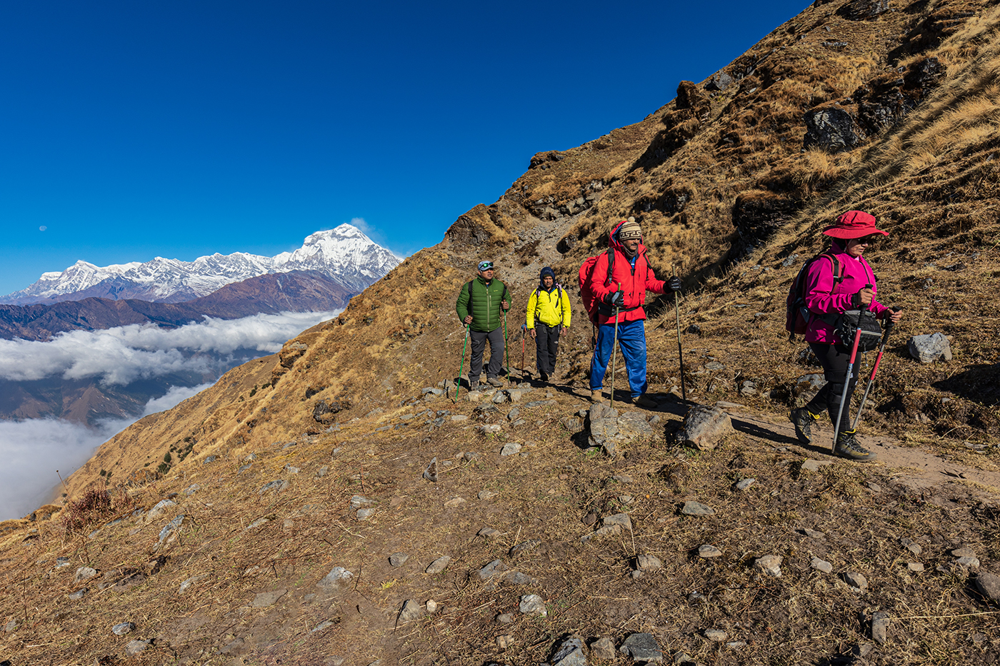 Khopra Ridge Trek Cost: A Complete Guide with Itinerary, Price, Permits