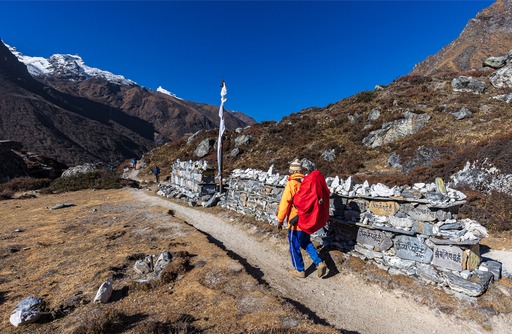 Helambu Valley Trek | A Tapestry of Flora and Fauna Helambu Valley